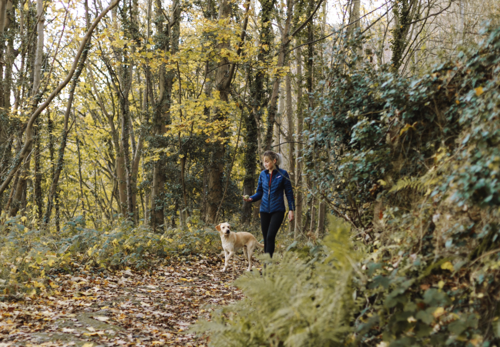 ARTICLES - Loosen Up Fitness | Fitness and Nutrition Coaching